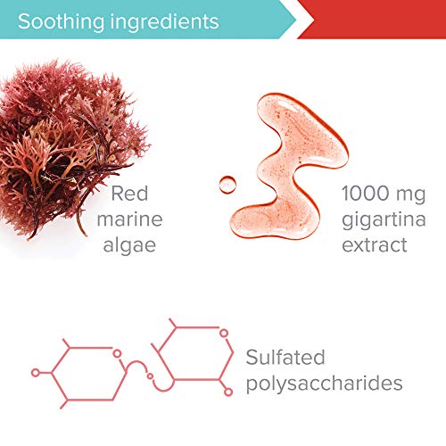 natural supplement for immune strength