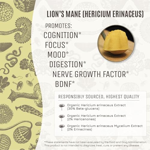 natural supplement for synapse repair