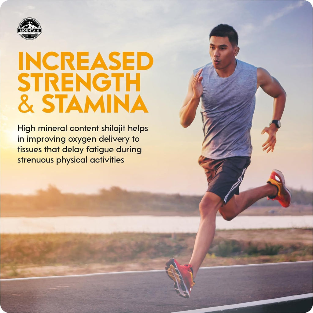 natural supplement shilajit for men