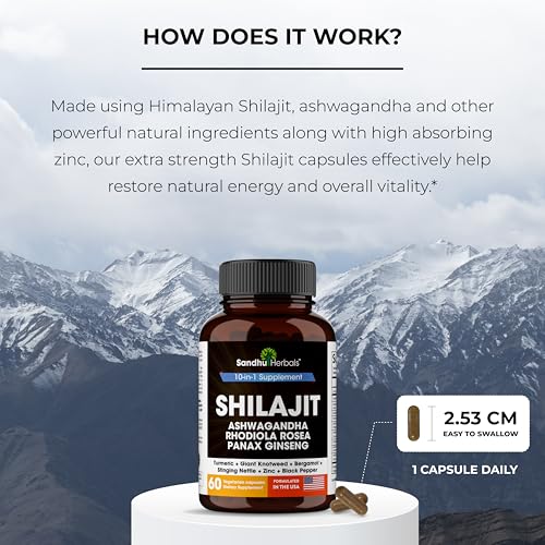 natural supplement shilajit for men