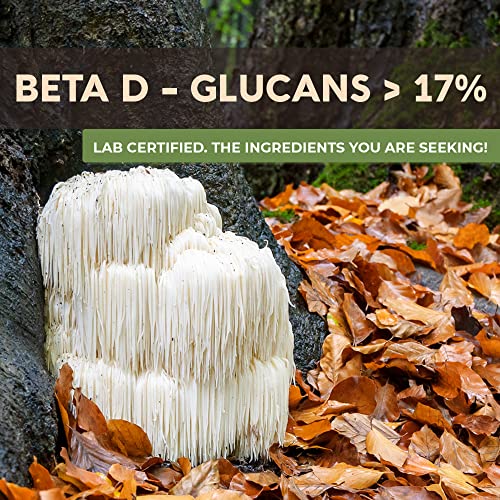 natural supplements for brain health