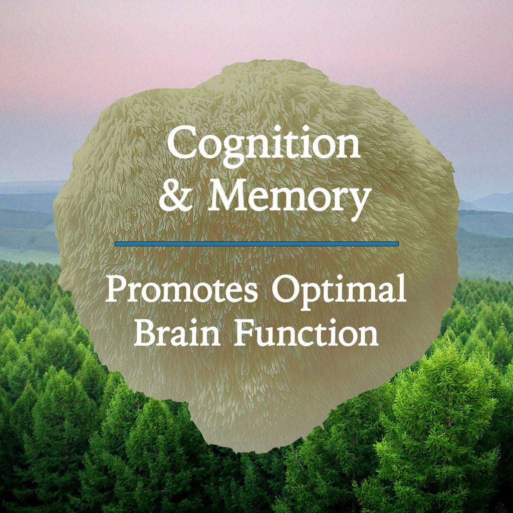 Natural supplements for brain health
