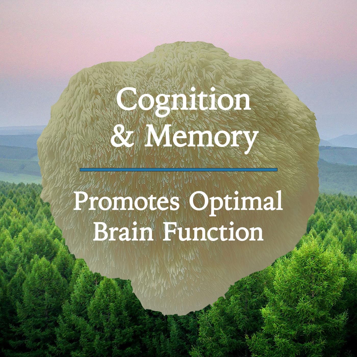 Natural supplements for brain health