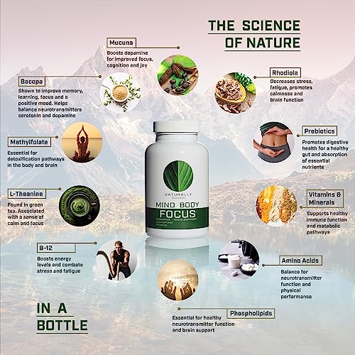 natural supplements for cognitive performance