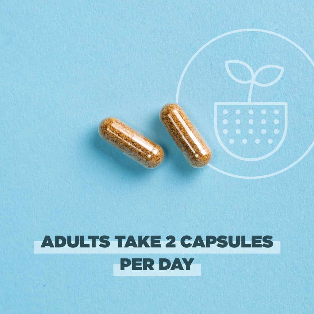 natural supplements for digestive comfort
