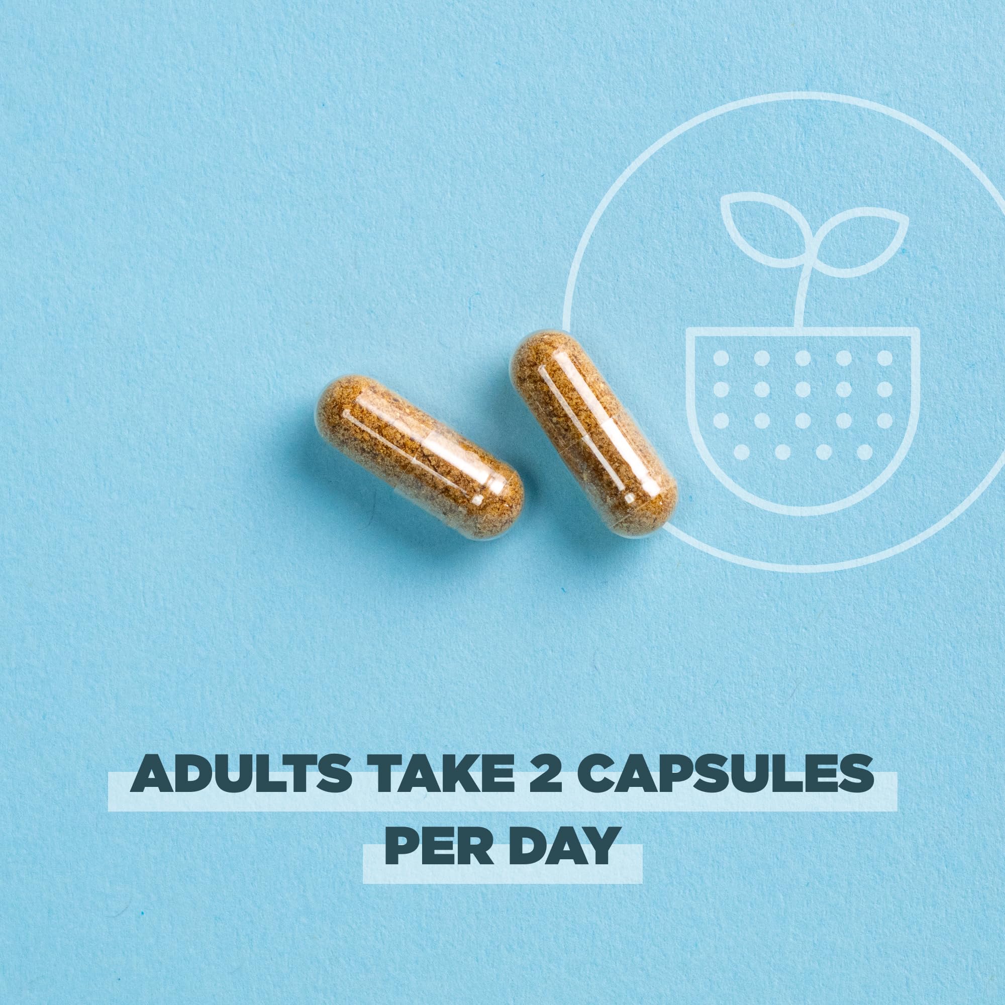 natural supplements for digestive comfort