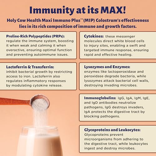 natural supplements for gut and immunity