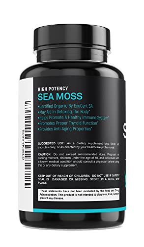 natural supplements for holistic health