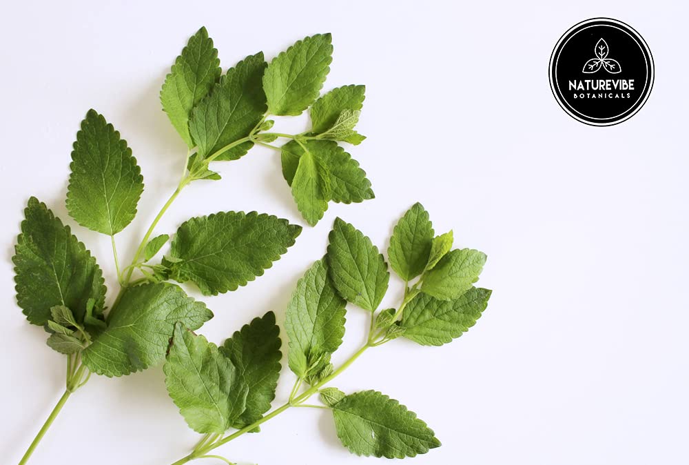 natural supplements for holistic health