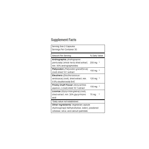 natural supplements for immune support