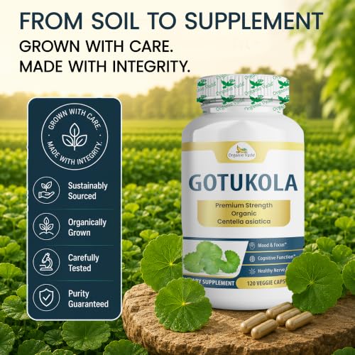Natural supplements for improved focus
