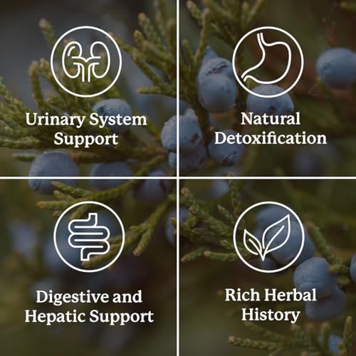 natural supplements for kidney wellness