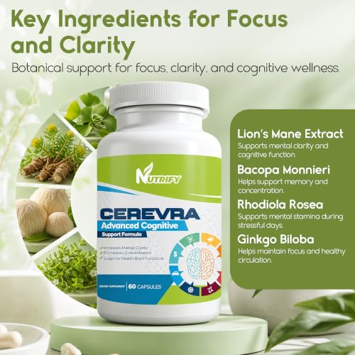 natural supplements for memory support