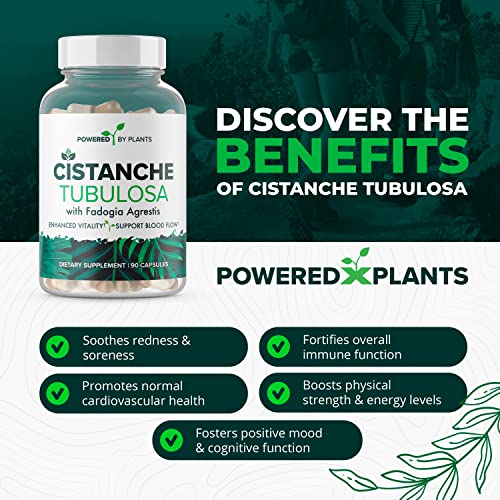 natural supplements for men and women