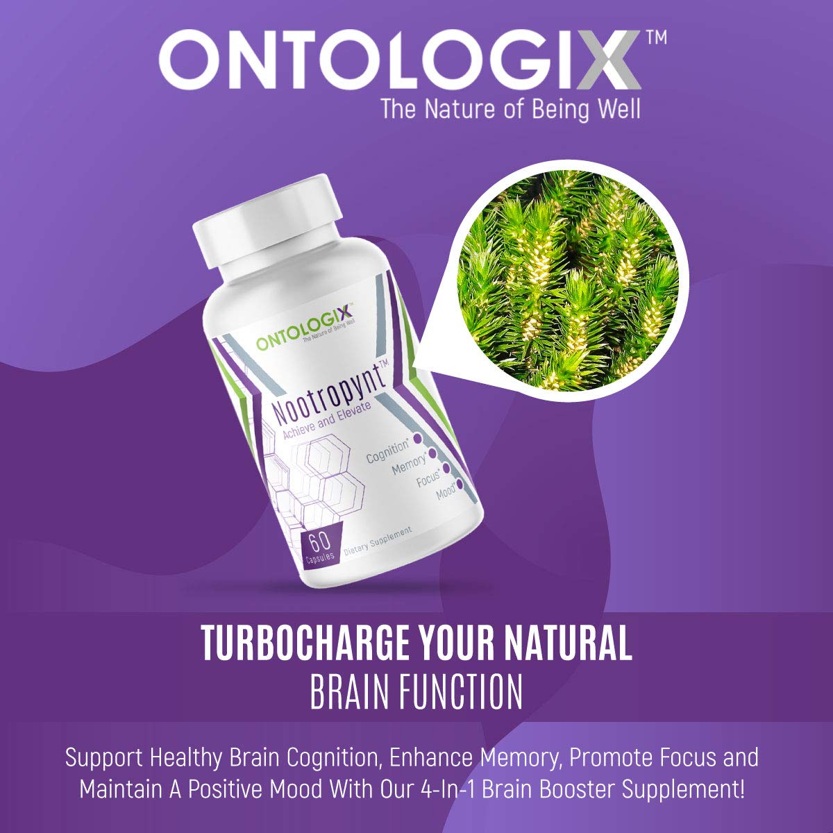 natural supplements for mental clarity