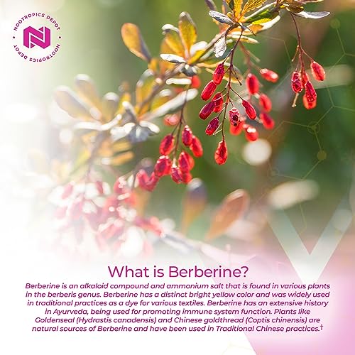 Natural supplements for metabolic function