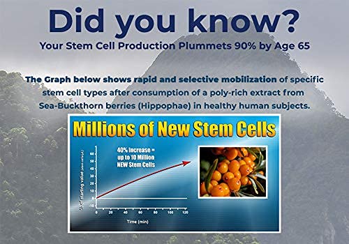 natural supplements for stem cell health