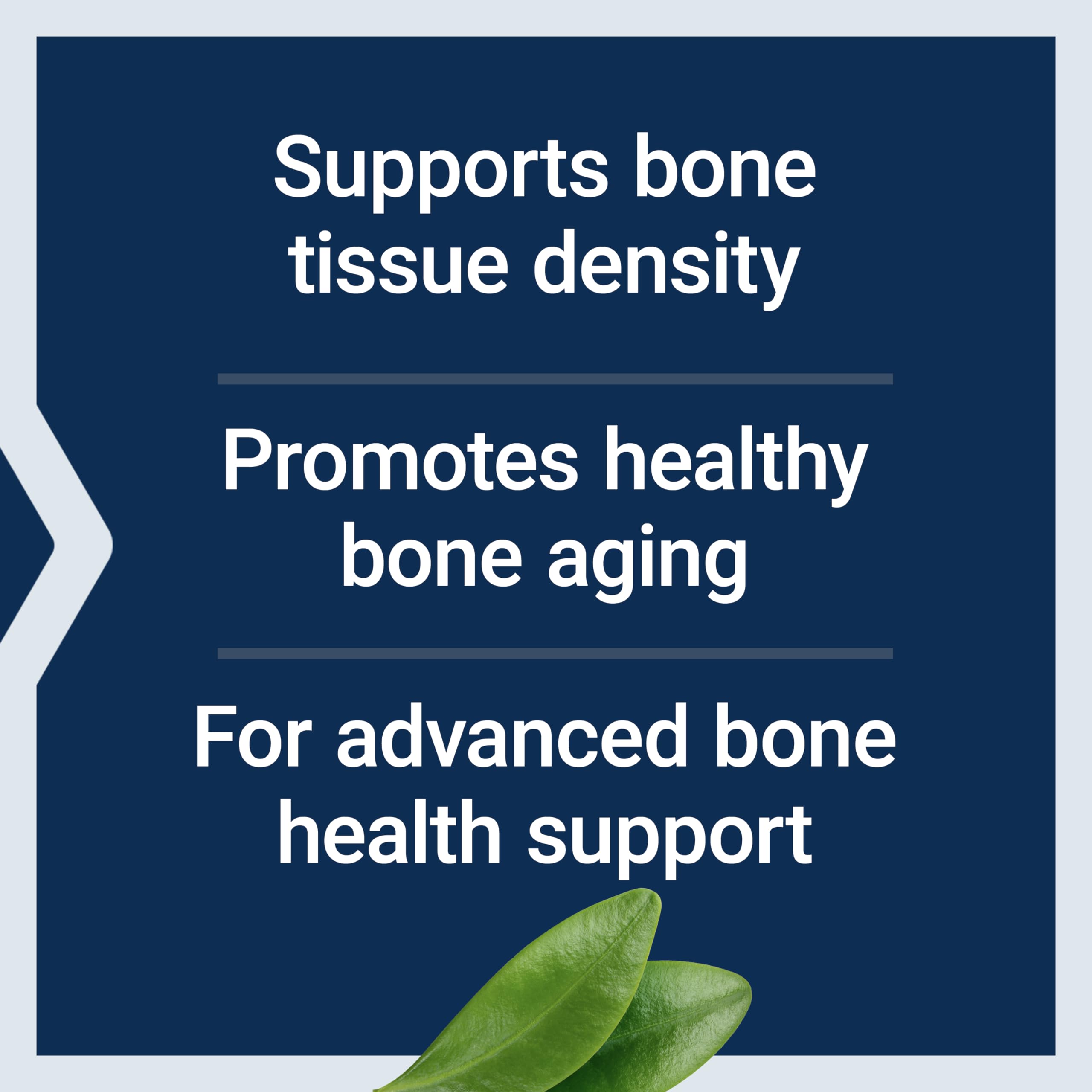 natural support for bone density