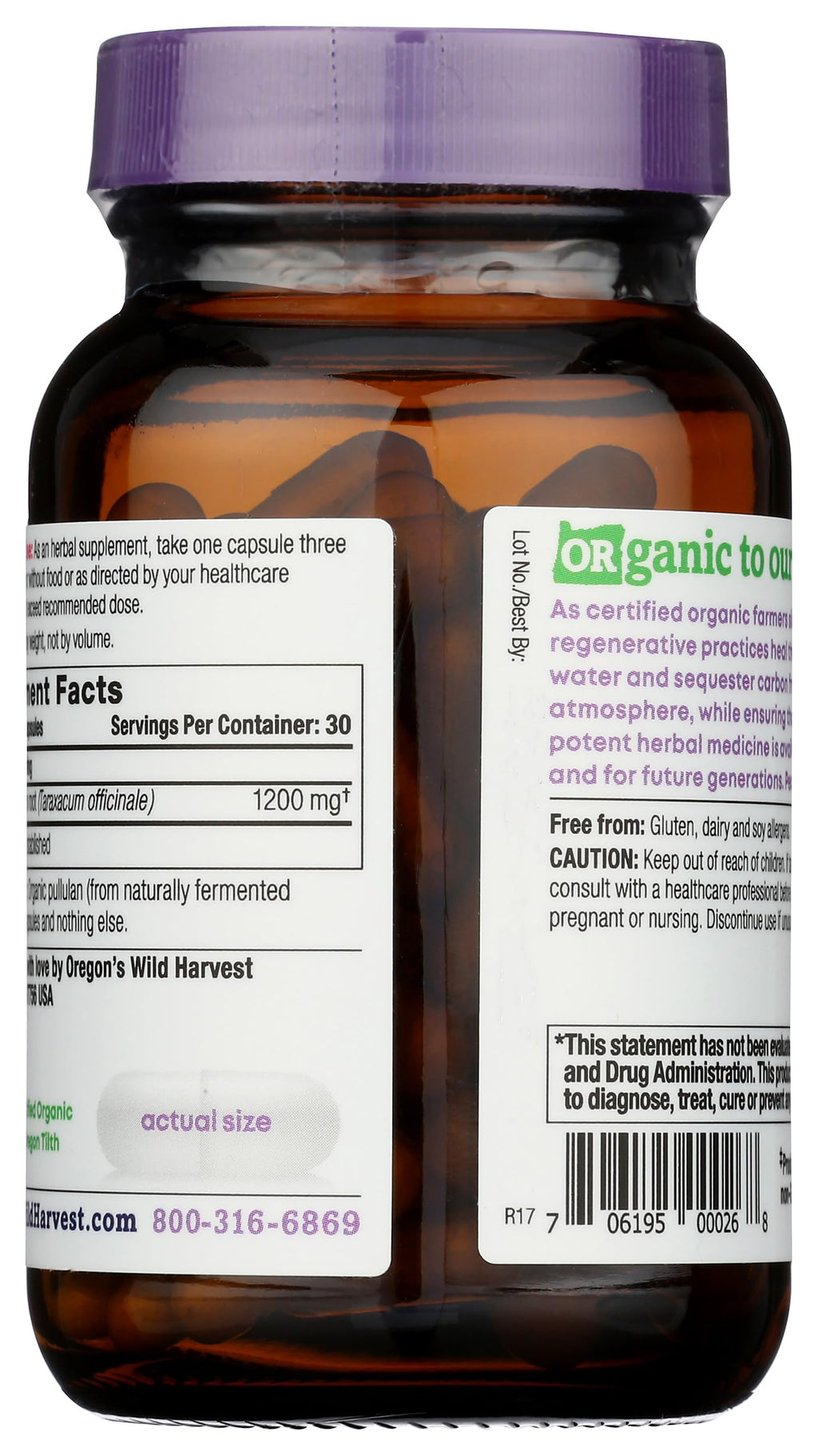 natural support for digestive health