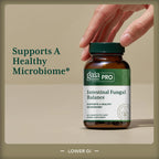 natural support for gut health