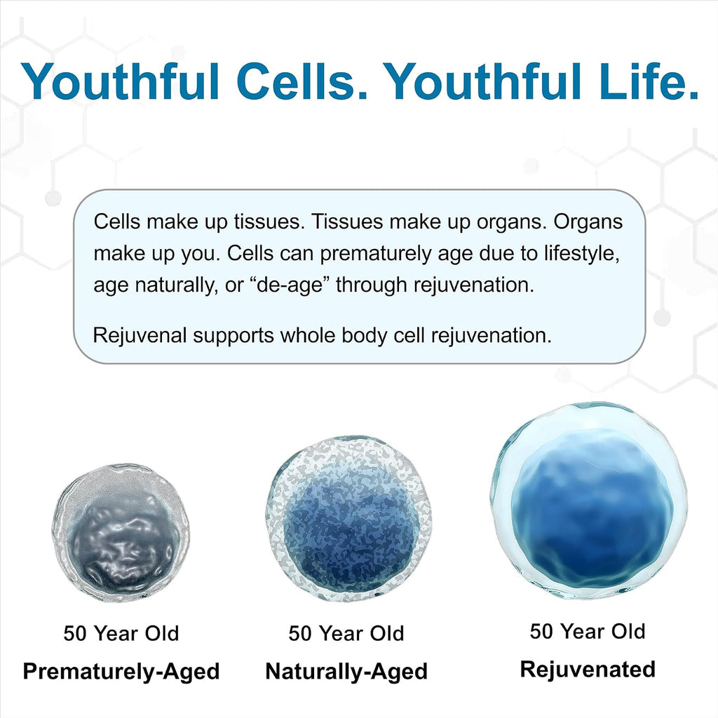 Natural support for healthy aging