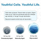Natural support for healthy aging