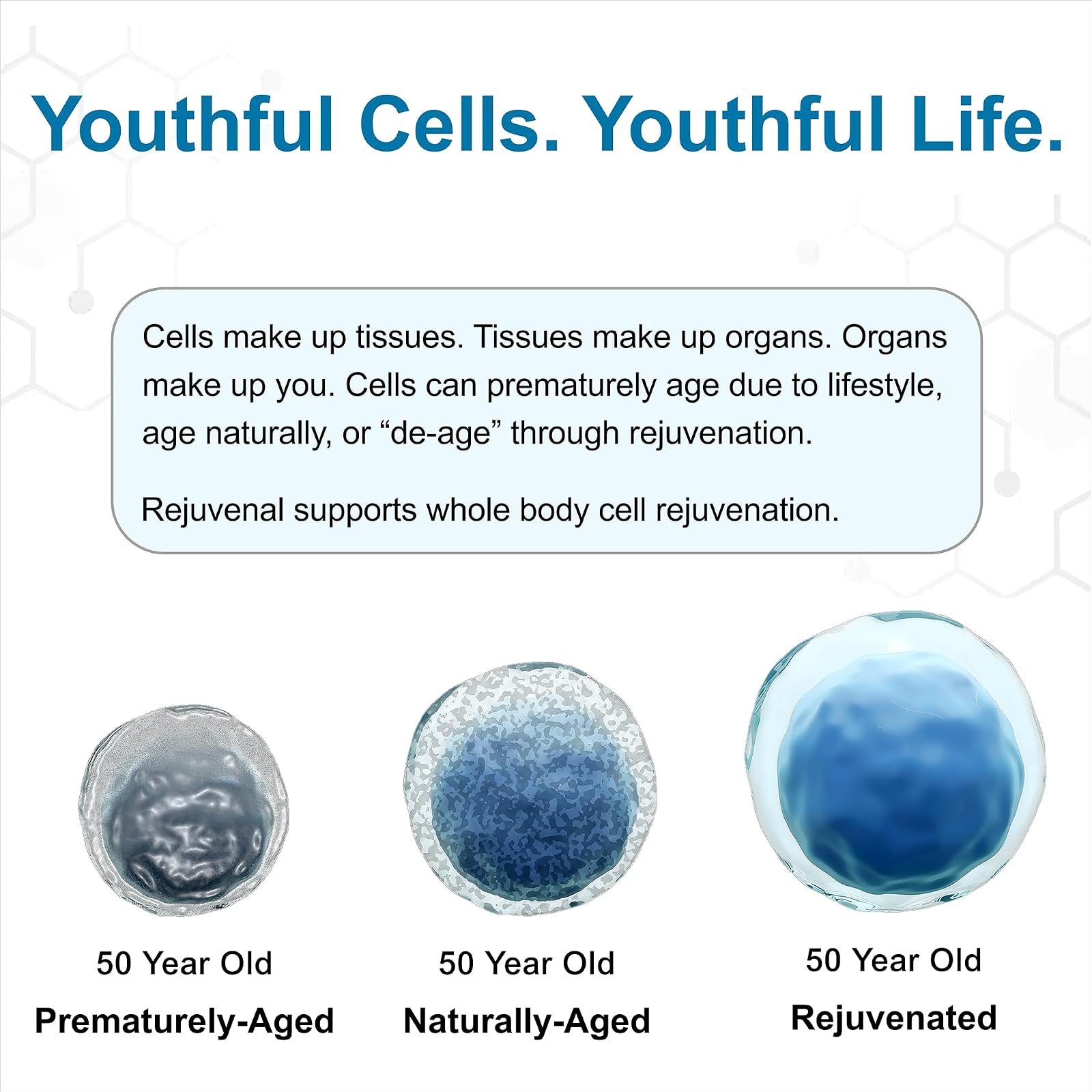 Natural support for healthy aging