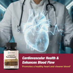 natural support for healthy digestion