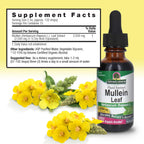 natural support for immune function