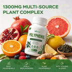 natural support for immune health