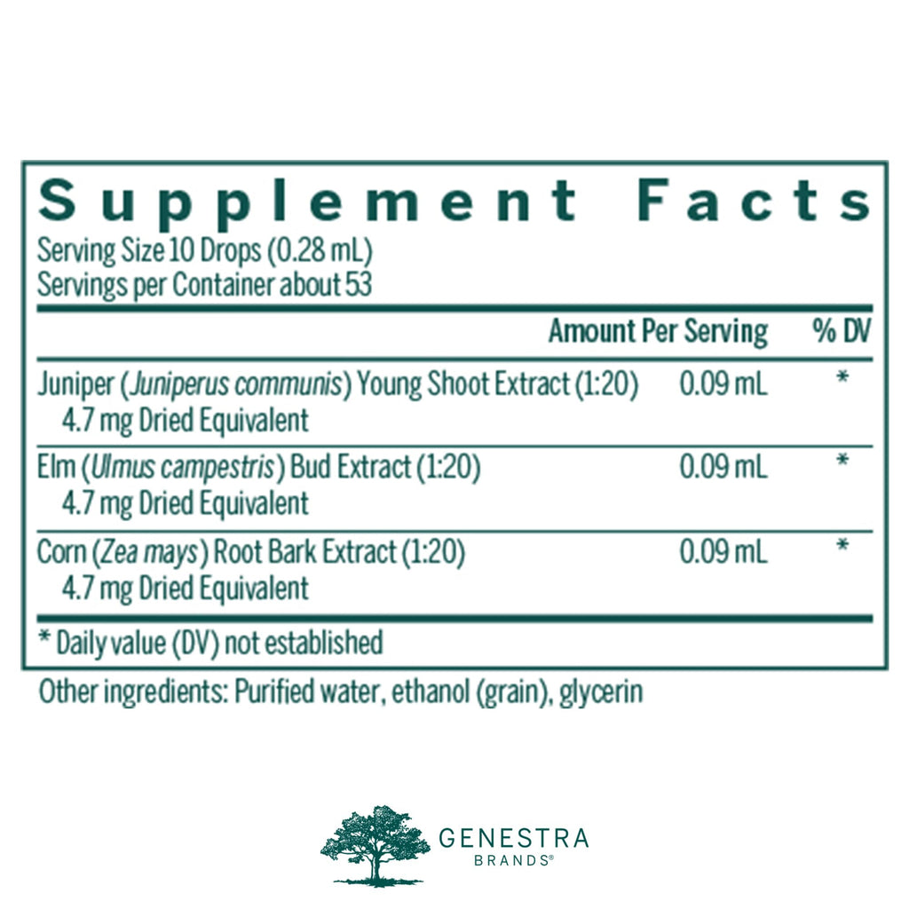 Natural support for kidney function
