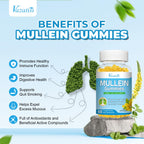 Natural support for lung function