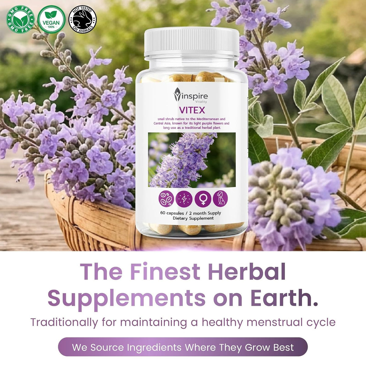 Natural support for menstrual health Vitex