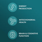 Natural support for muscle recovery