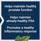 natural support for prostate function