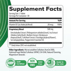 Natural support for respiratory wellness