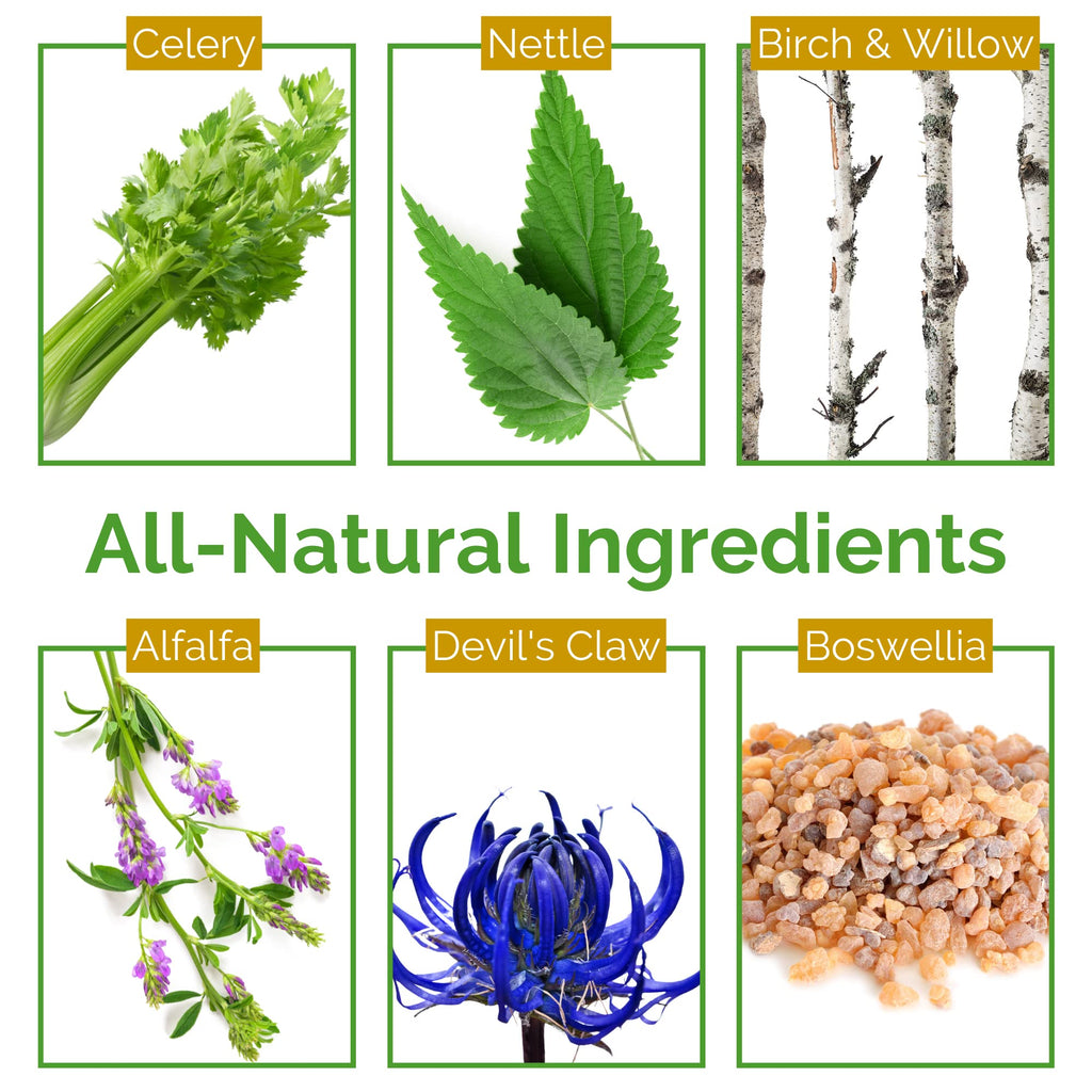 natural support for uric acid balance