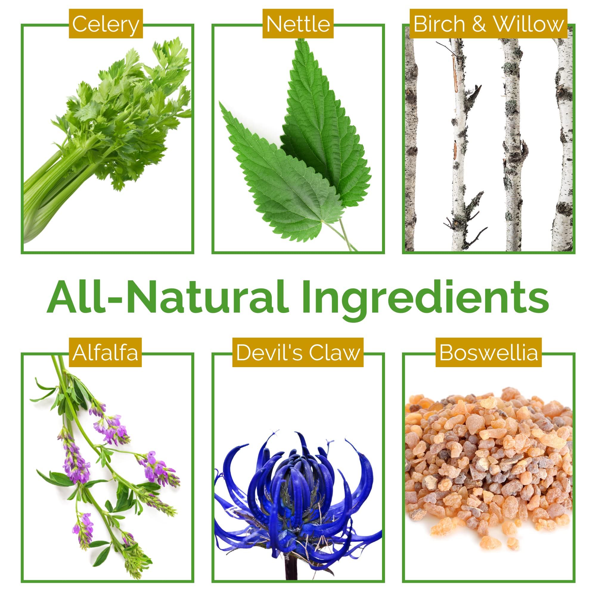 natural support for uric acid balance