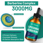 natural support with dihydroberberine