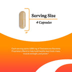 natural testosterone booster vitamins