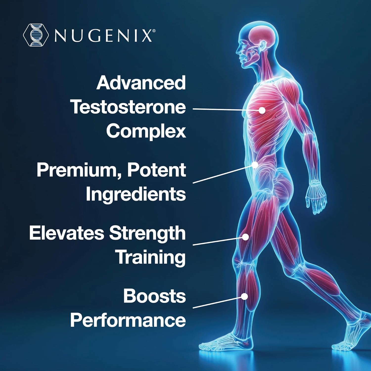 natural testosterone support for men