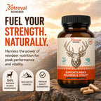 natural testosterone support supplement