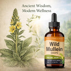 Natural throat soothing Mullein extract
