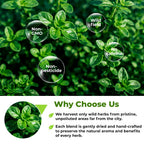 natural thyme herbal remedy
