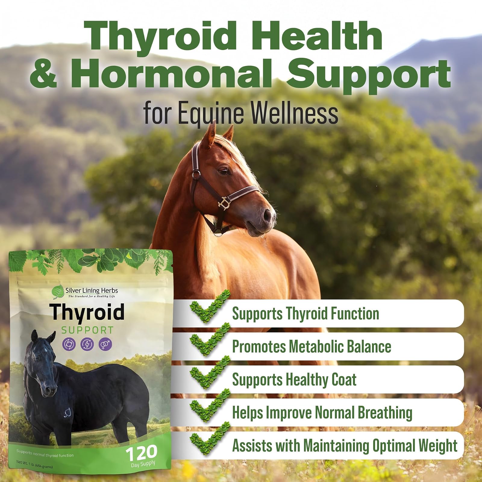 natural thyroid extract for wellness