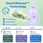 Natural thyroid multivitamins for men