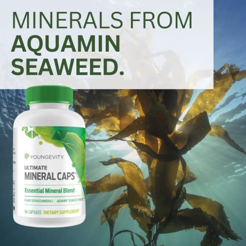 natural trace minerals for body function