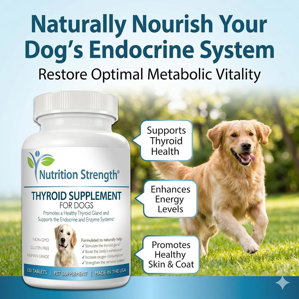 natural trace minerals for canine health
