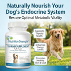 natural trace minerals for canine health