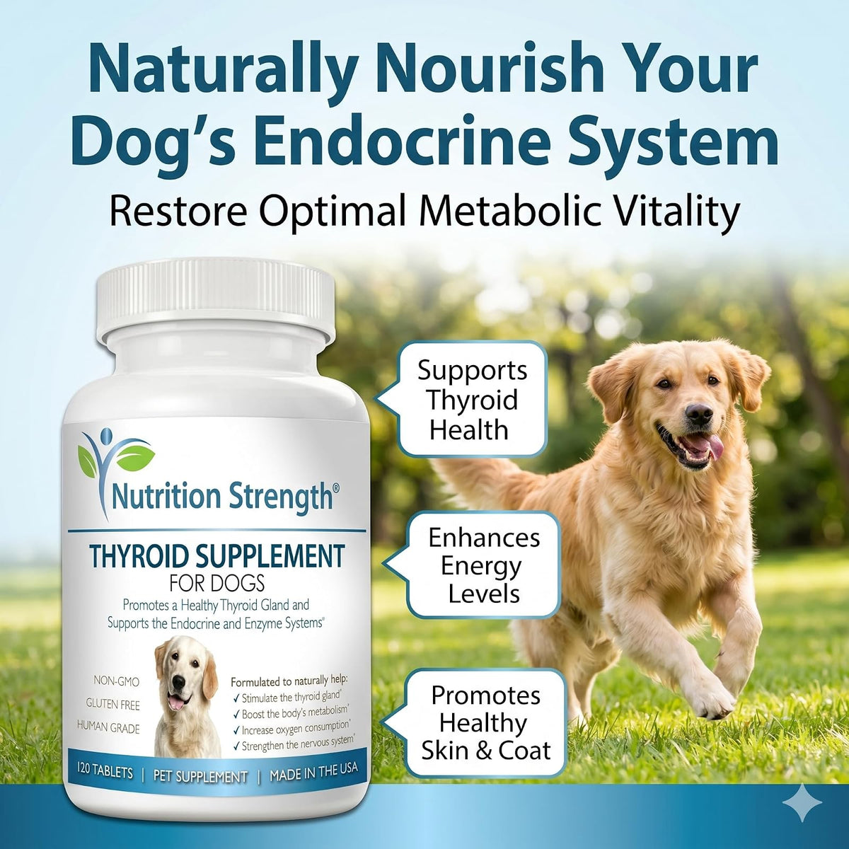 natural trace minerals for canine health